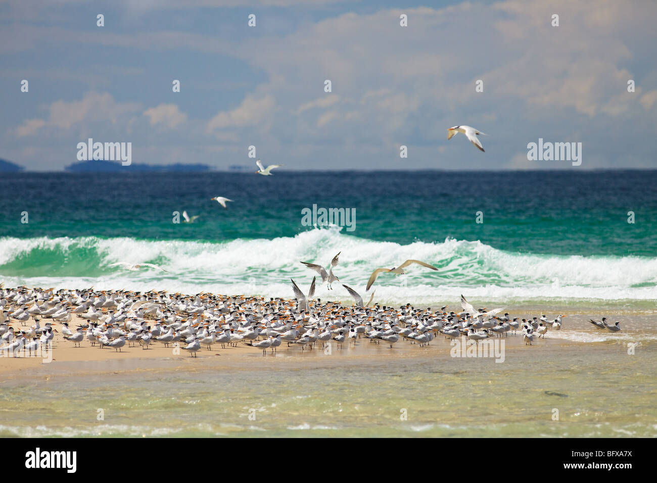 No 2 River Beach, Freetown Peninsula, Sierra Leone Stock Photo - Alamy