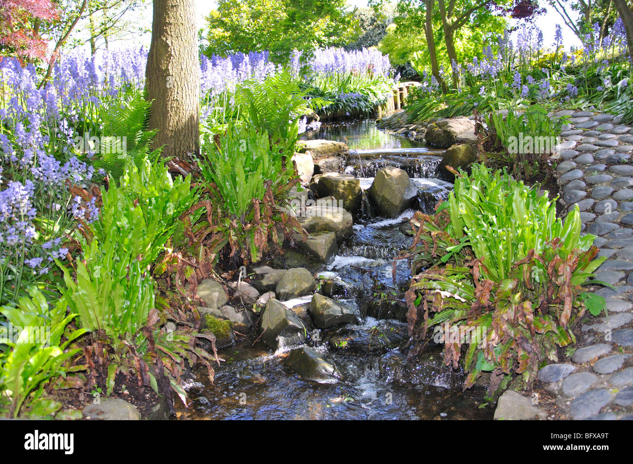Stream with stones hi-res stock photography and images - Alamy