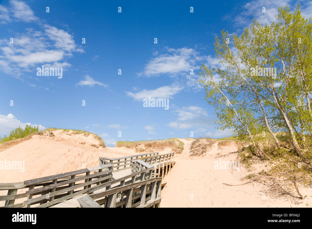 Boardwalk Through Sand Dunes Stock Photos & Boardwalk Through Sand ...