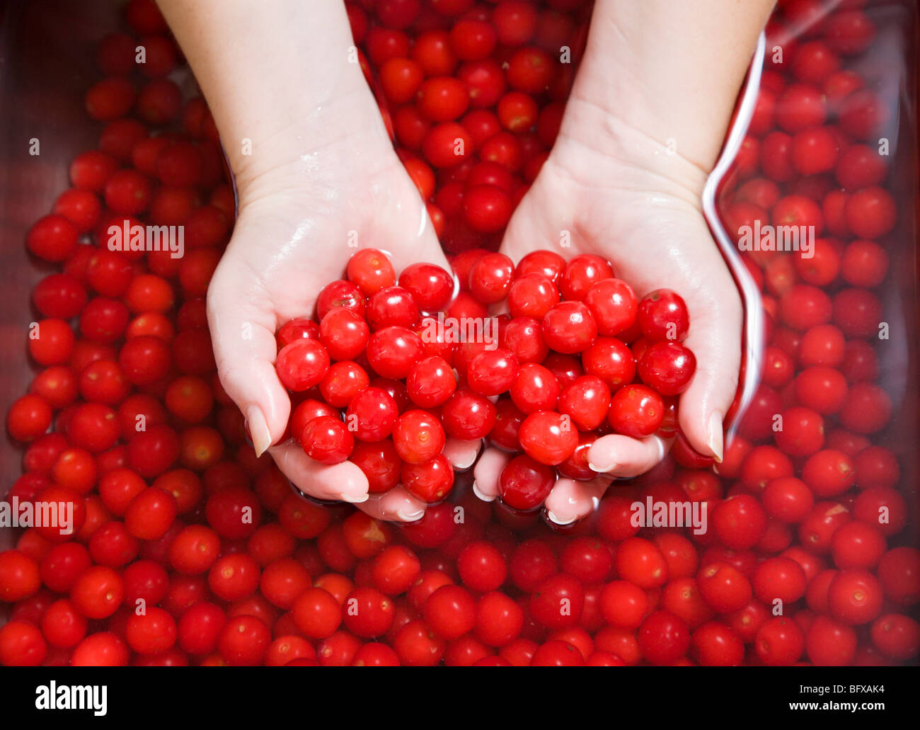 Shiny cherries hi-res stock photography and images - Alamy