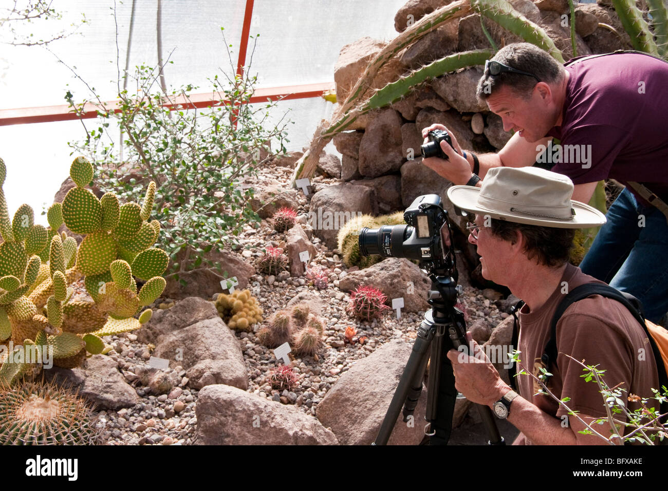 San Miguel de Allende's El Charco del Ingenio Nature Reserve with ...