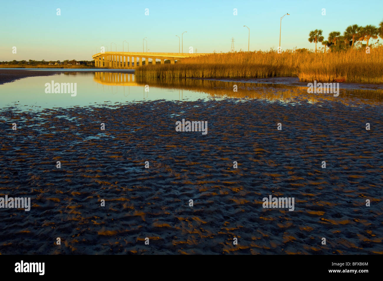 low tide ion Apalachee bay mud falts Stock Photo - Alamy