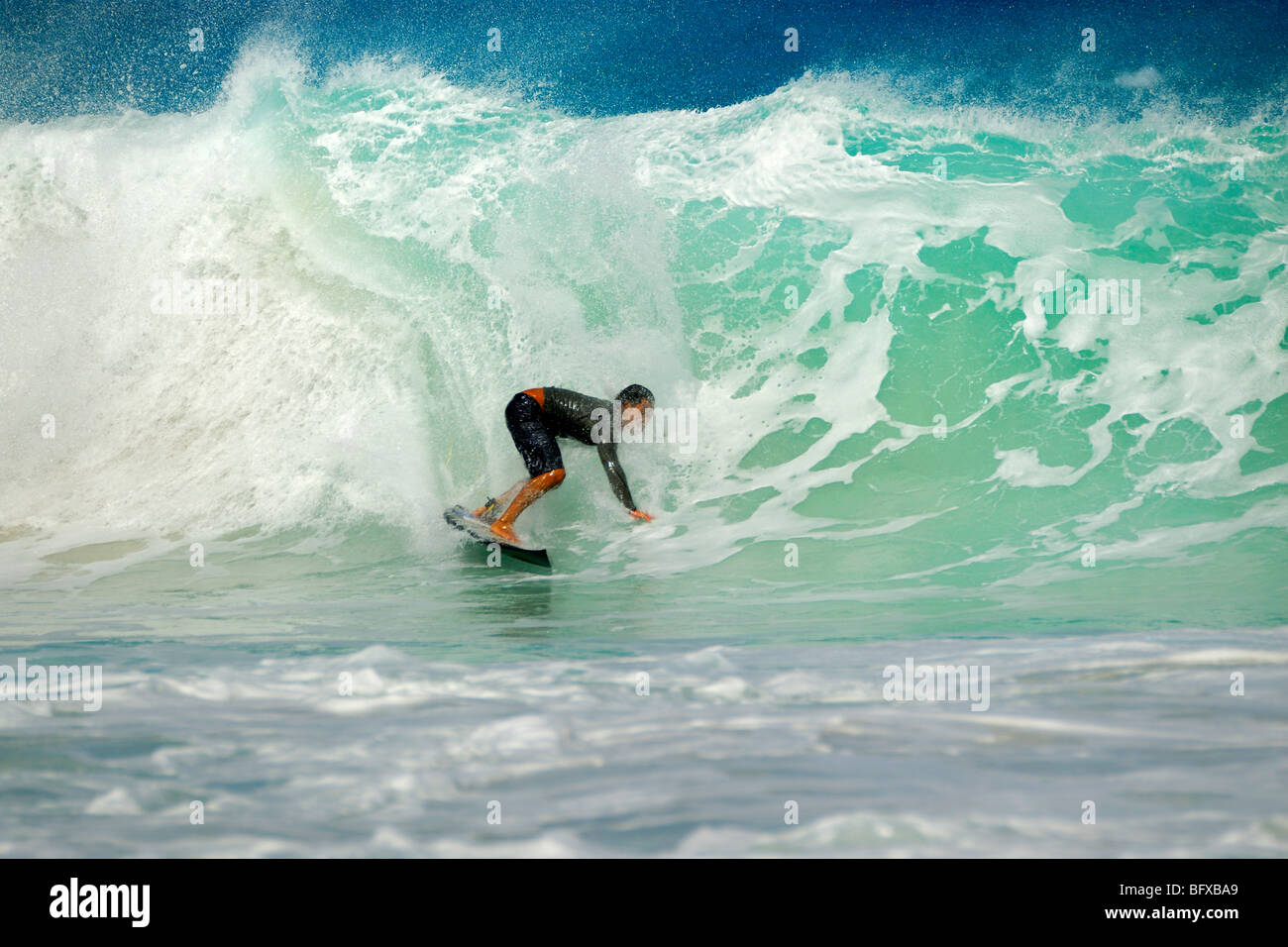 Catching Waves in Hawaii Stock Photo - Alamy