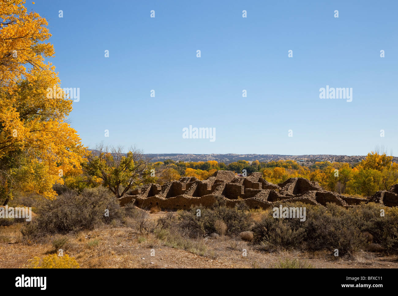Trees in the Fall at the Aztec Ruins near Farmington in New Mexico ...