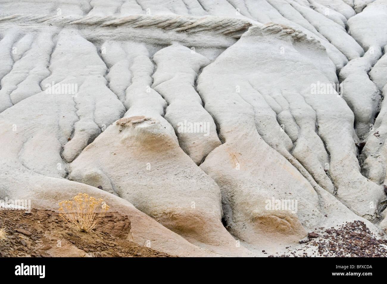 Detail of erosion patterns in mudstone badlands, Dinosaur Provincial ...