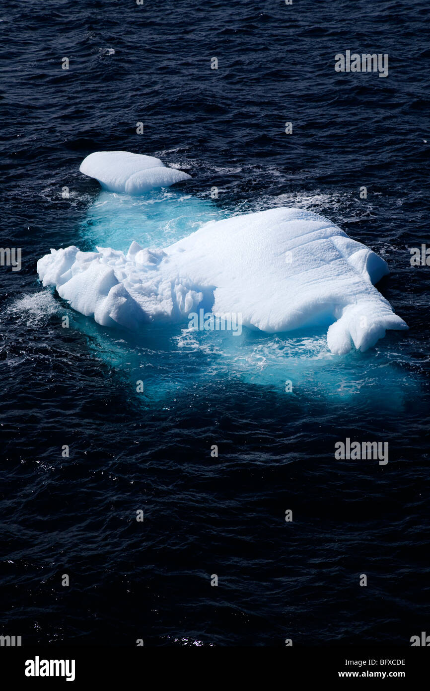 Antarctica ice growler chunk hi-res stock photography and images - Alamy