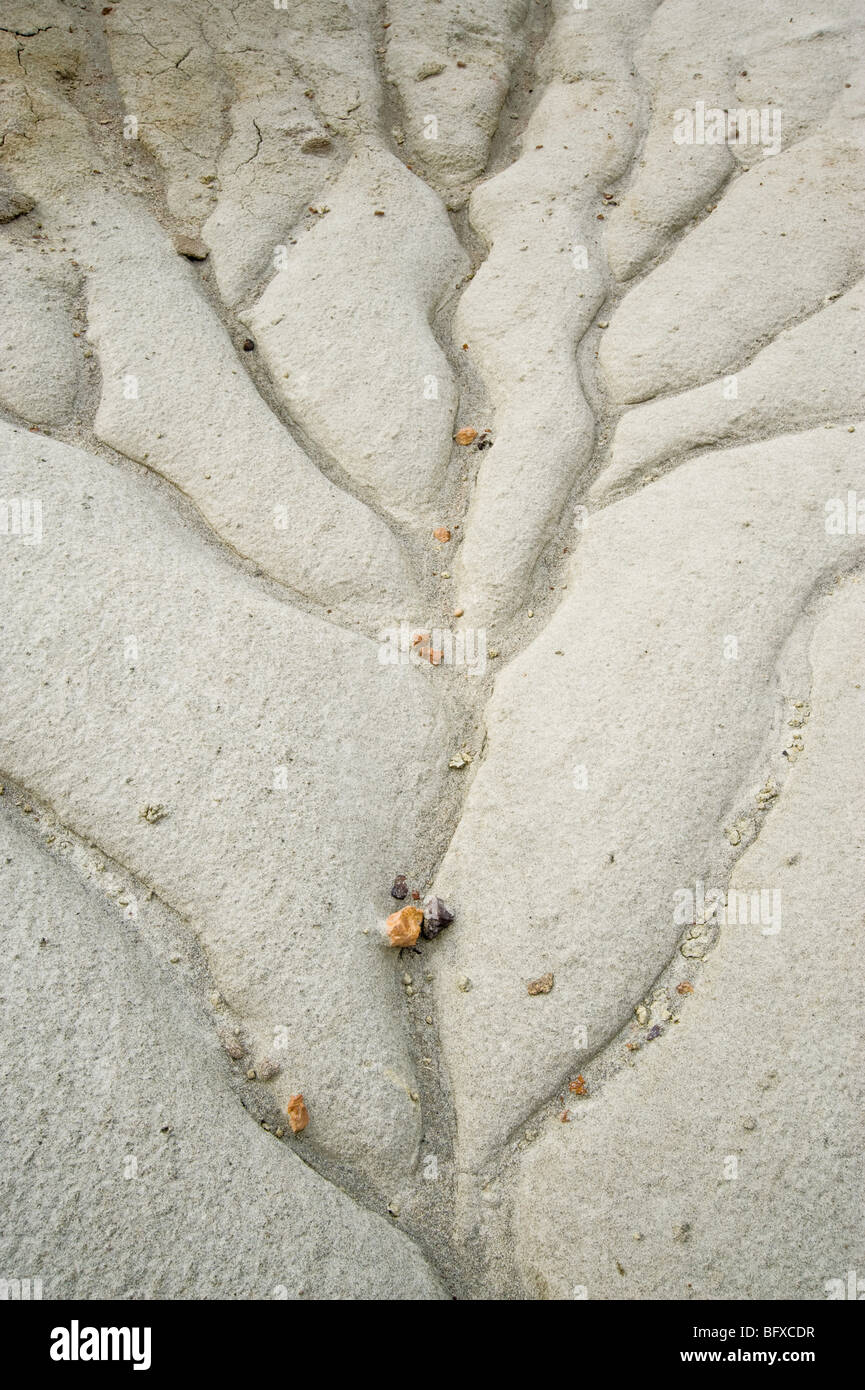 Detail of erosion patterns in mudstone badlands, Dinosaur Provincial ...
