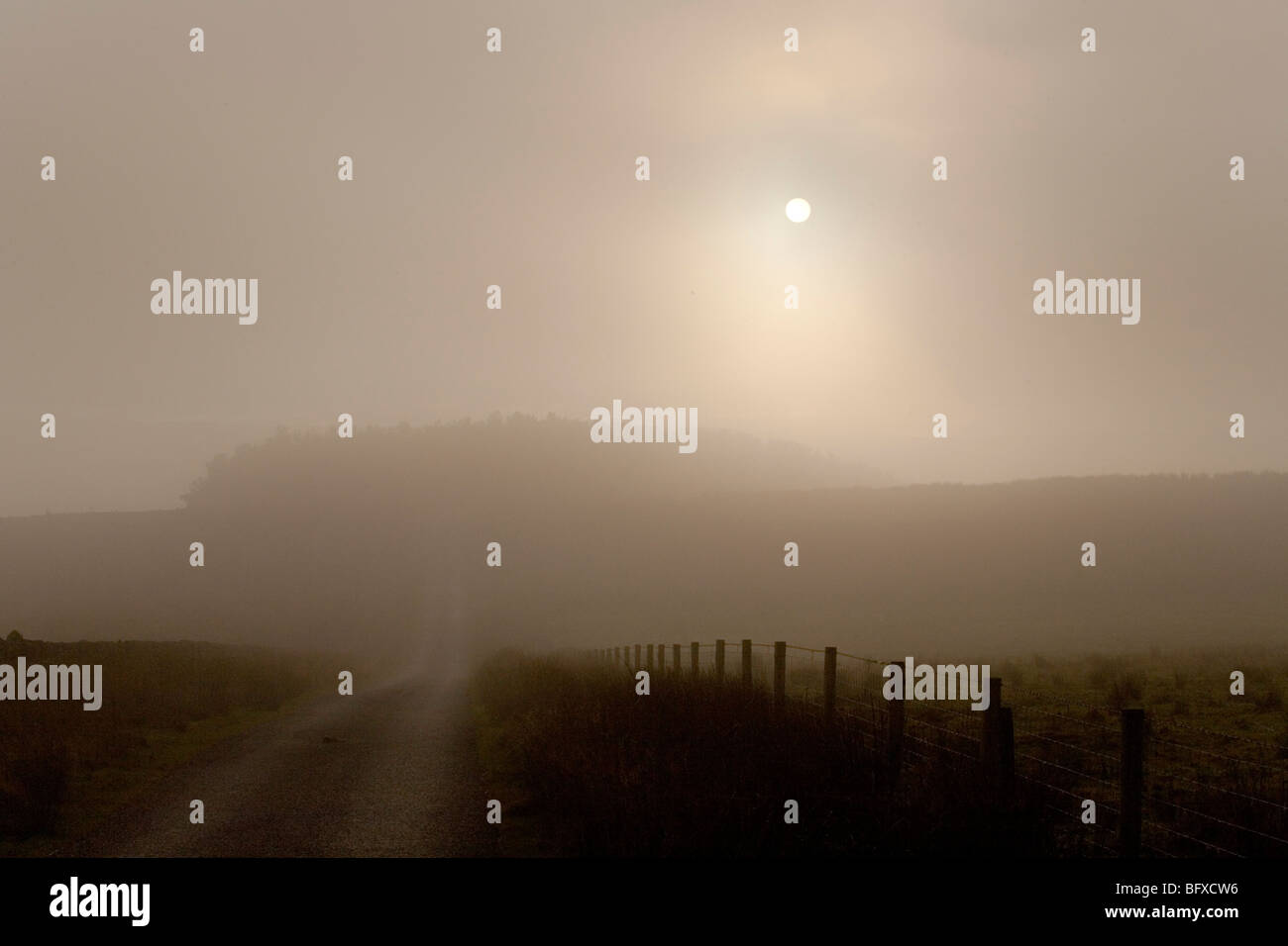 Sunlight through the mist hi-res stock photography and images - Alamy