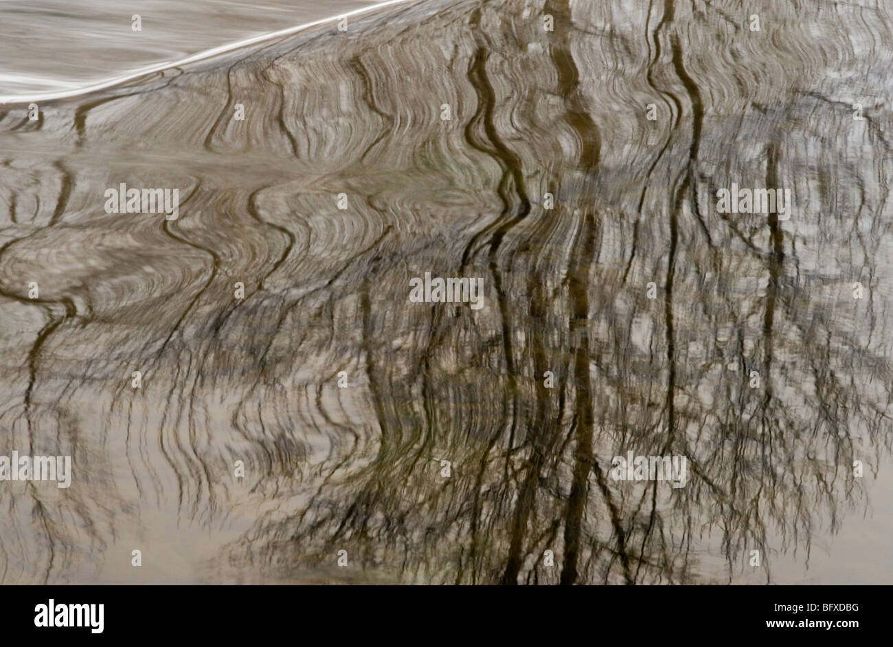 Reflections in water hi-res stock photography and images - Alamy