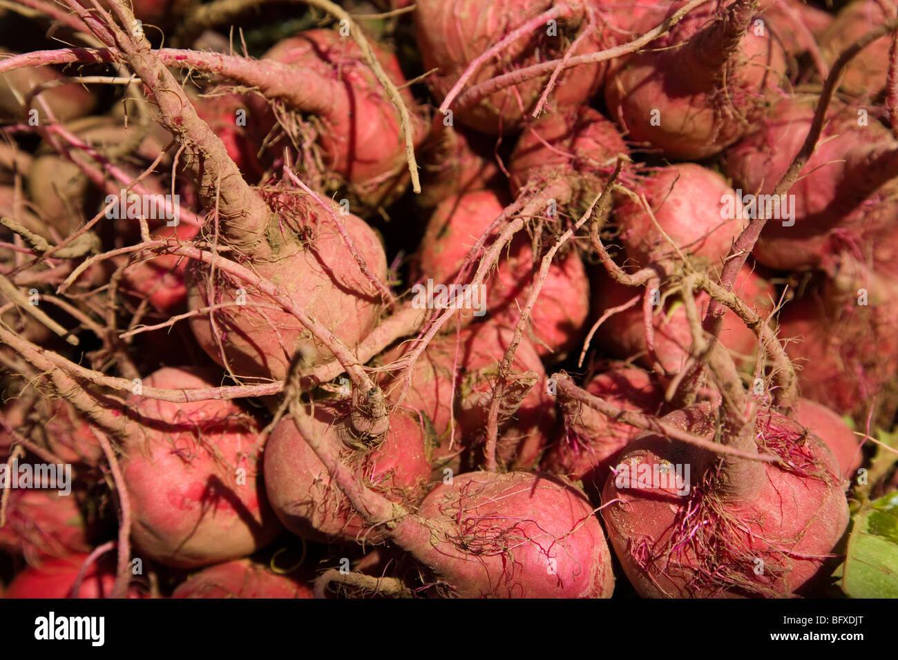 Close-up of beetroots on a market stall Stock Photo - Alamy
