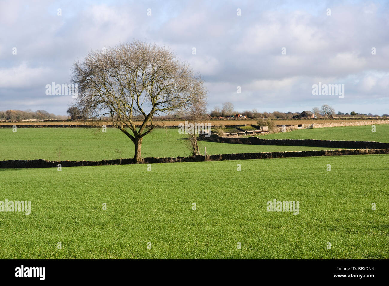 Leighterton hi-res stock photography and images - Alamy