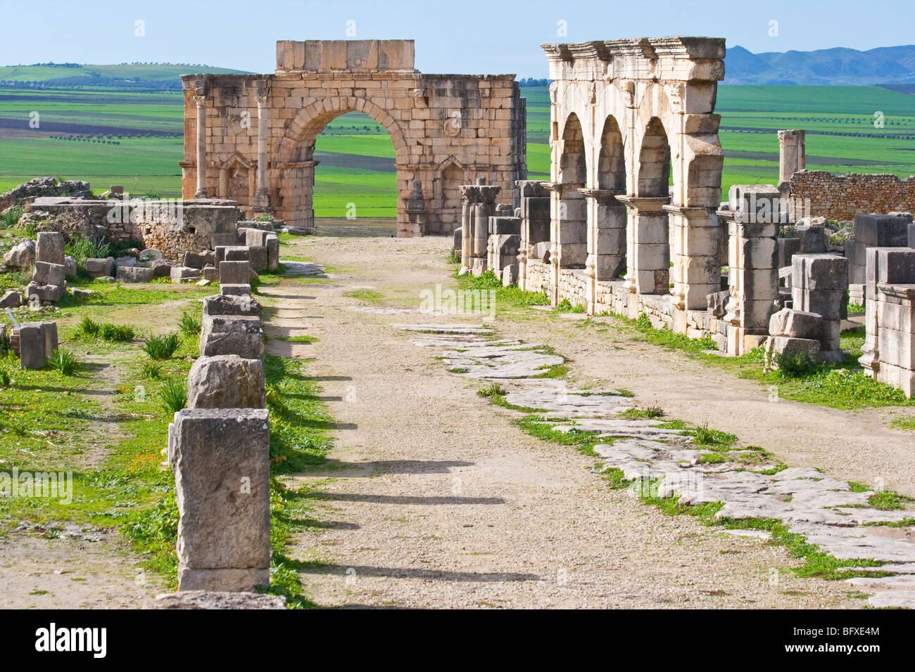 Decumanus Maximus at the Roman ruins of Volubilis in Morocco Stock ...