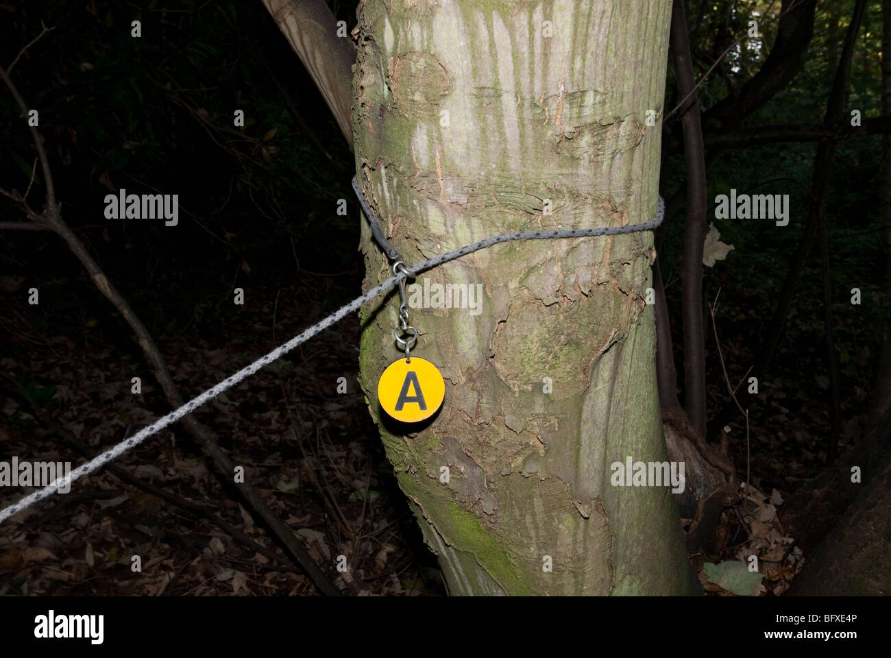 Fire Service BA Guide Line tied off to tree with Tally A Stock Photo ...