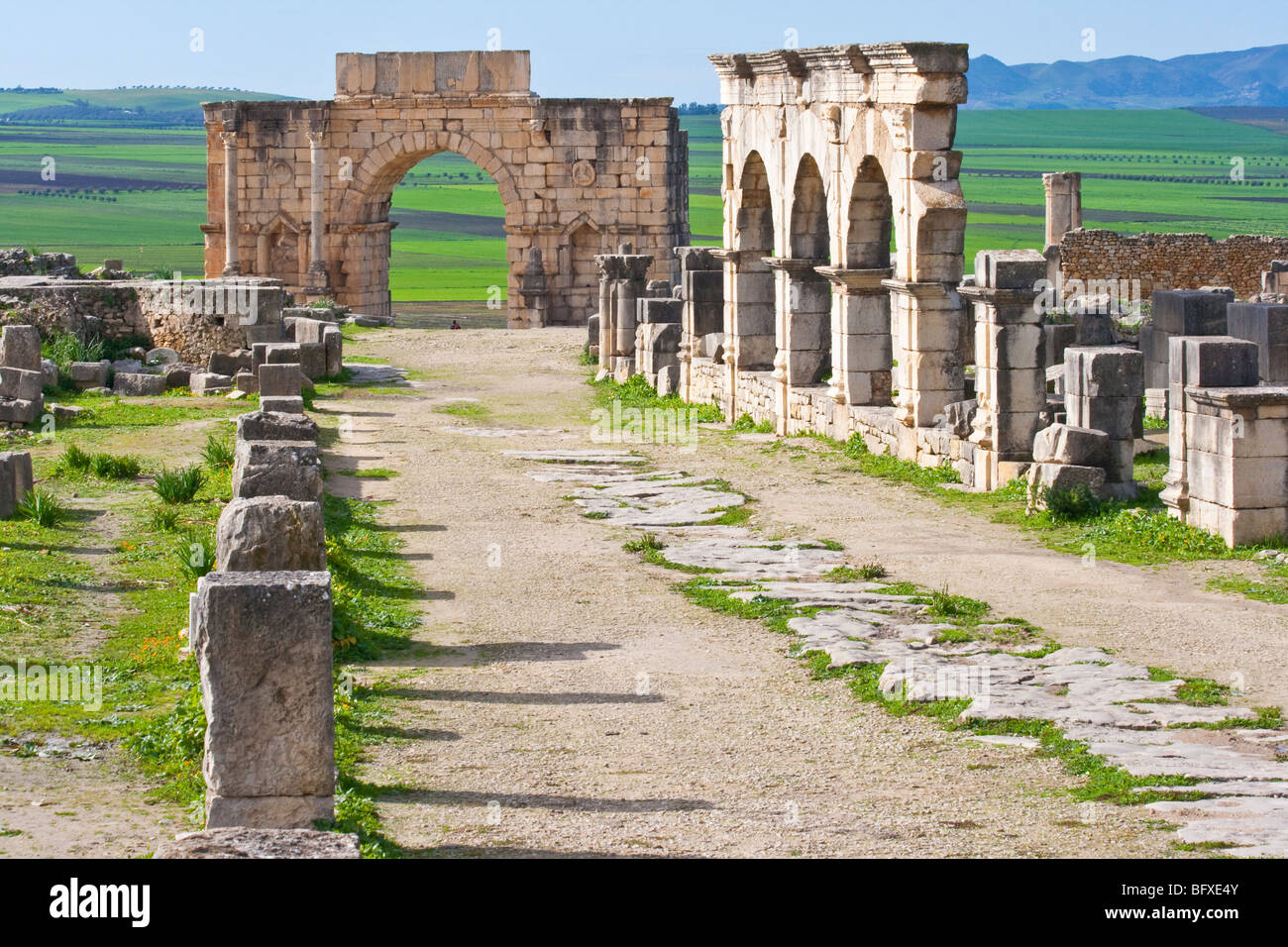 Decumanus Maximus at the Roman ruins of Volubilis in Morocco Stock ...