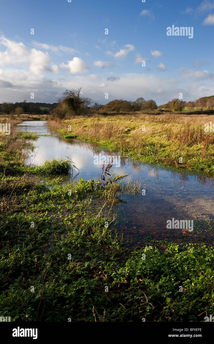 River Misbourne in Chilterns rural countryside, Little Missenden Bucks ...