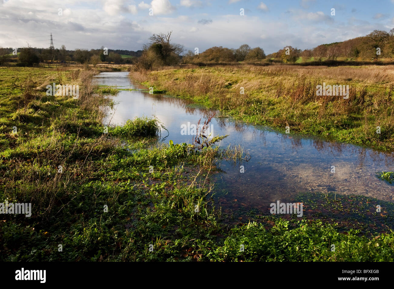 River Misbourne in Chilterns rural countryside, Little Missenden Bucks ...