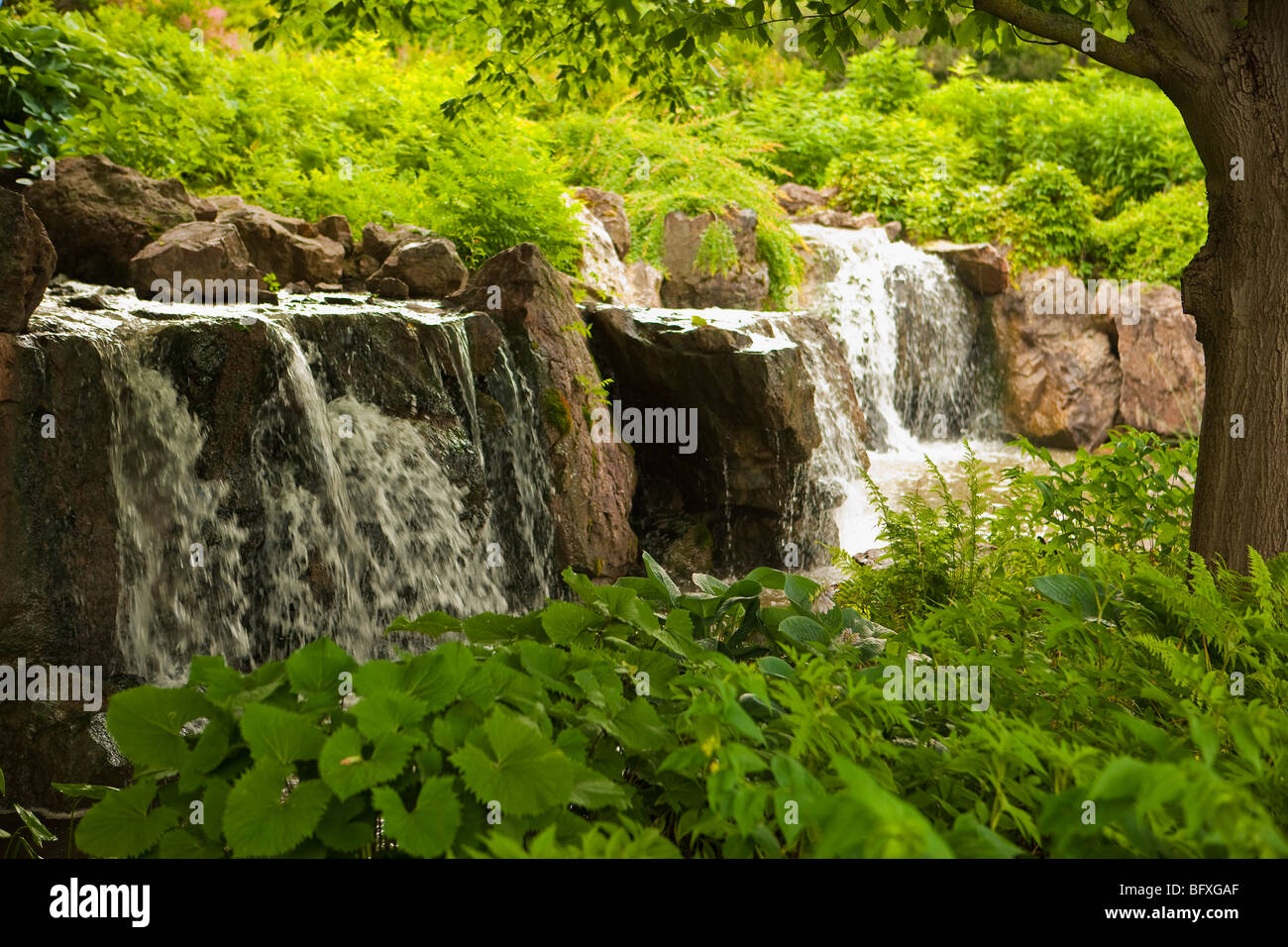Garden waterfall hi-res stock photography and images - Alamy