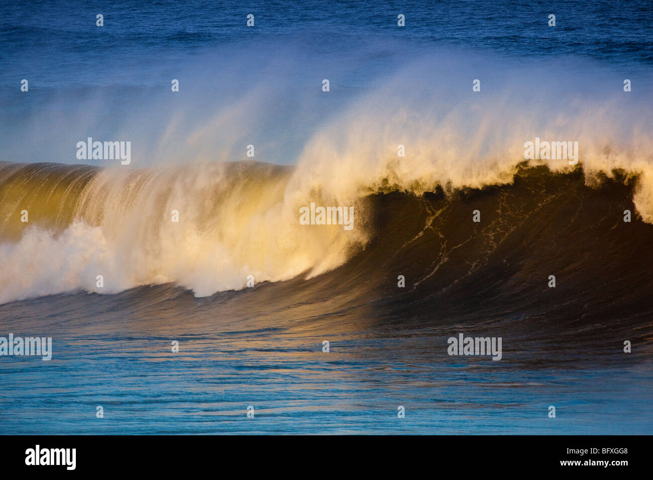 Surfing pipeline hawaii hi-res stock photography and images - Alamy