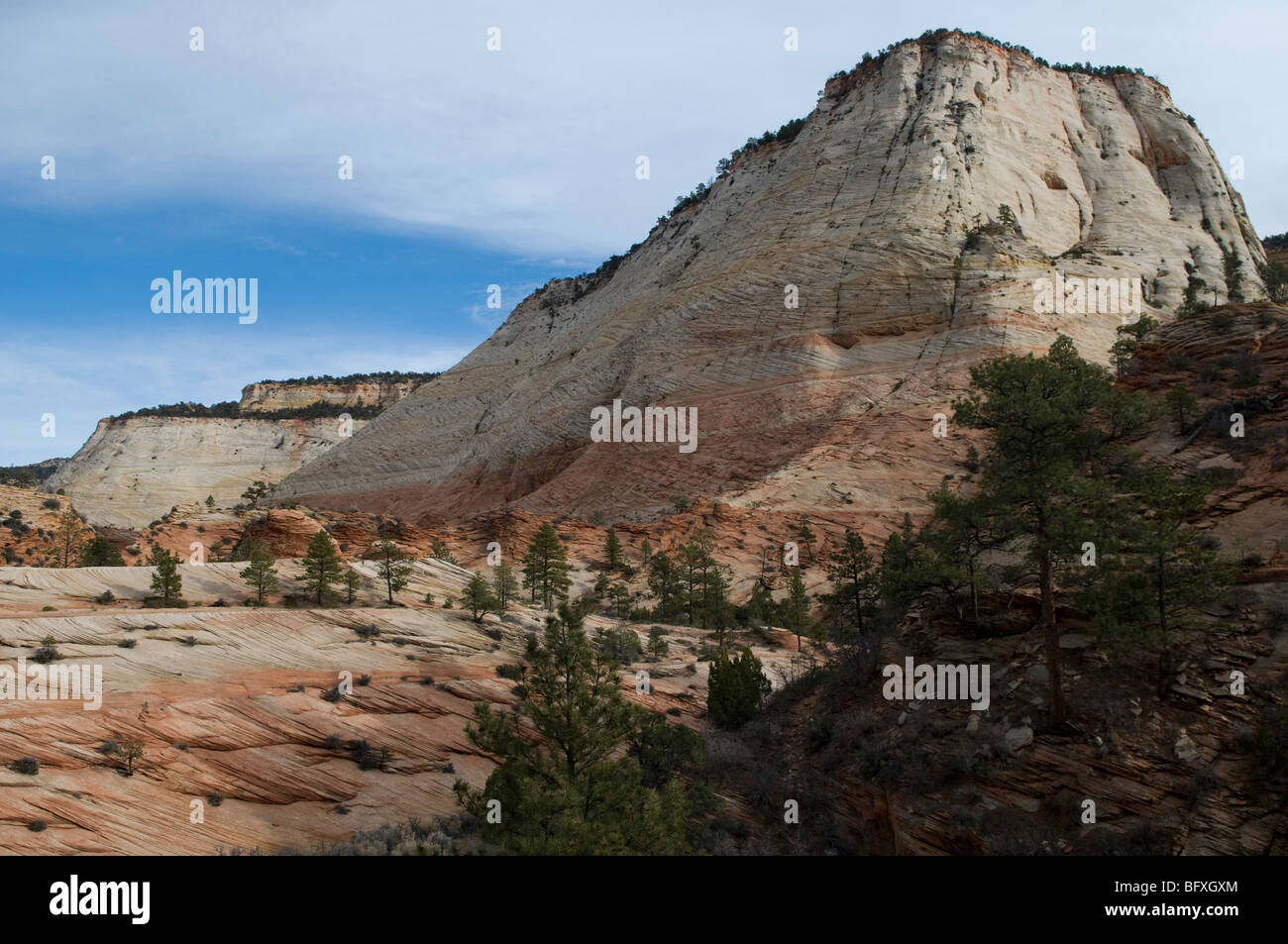 Checkerboard Mesa, Zion Canyon National Park, Utah Stock Photo - Alamy