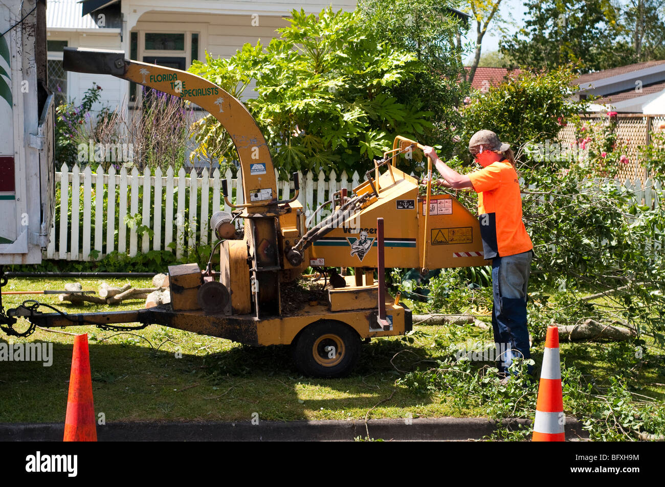 Tree cutting machine hi-res stock photography and images - Alamy