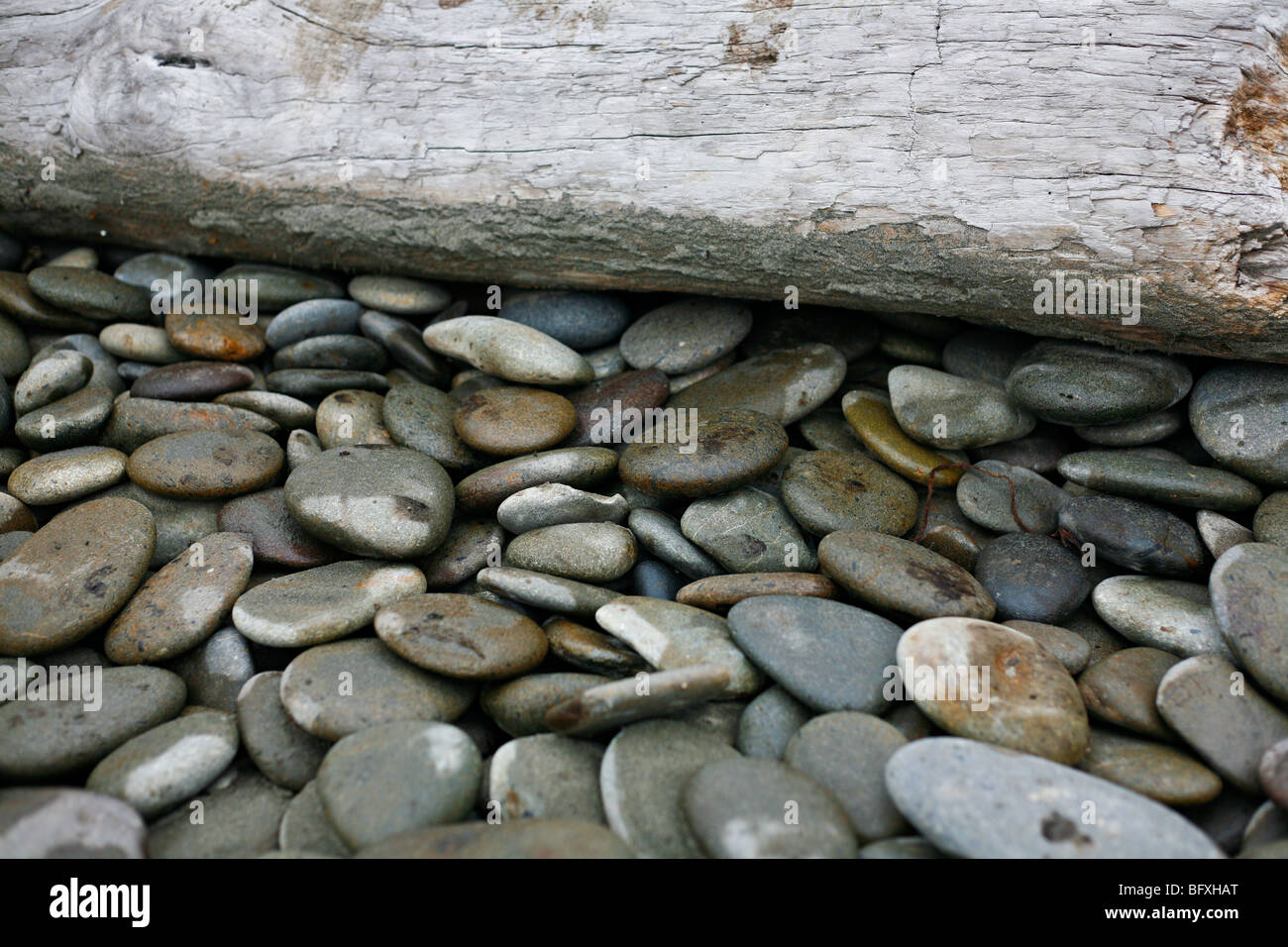 Drift wood and round ocean rocks close-up, in western Washington state ...