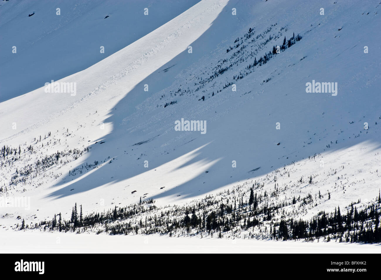Bow Mountain shadow on snow-covered scree slopes, Banff National Park ...