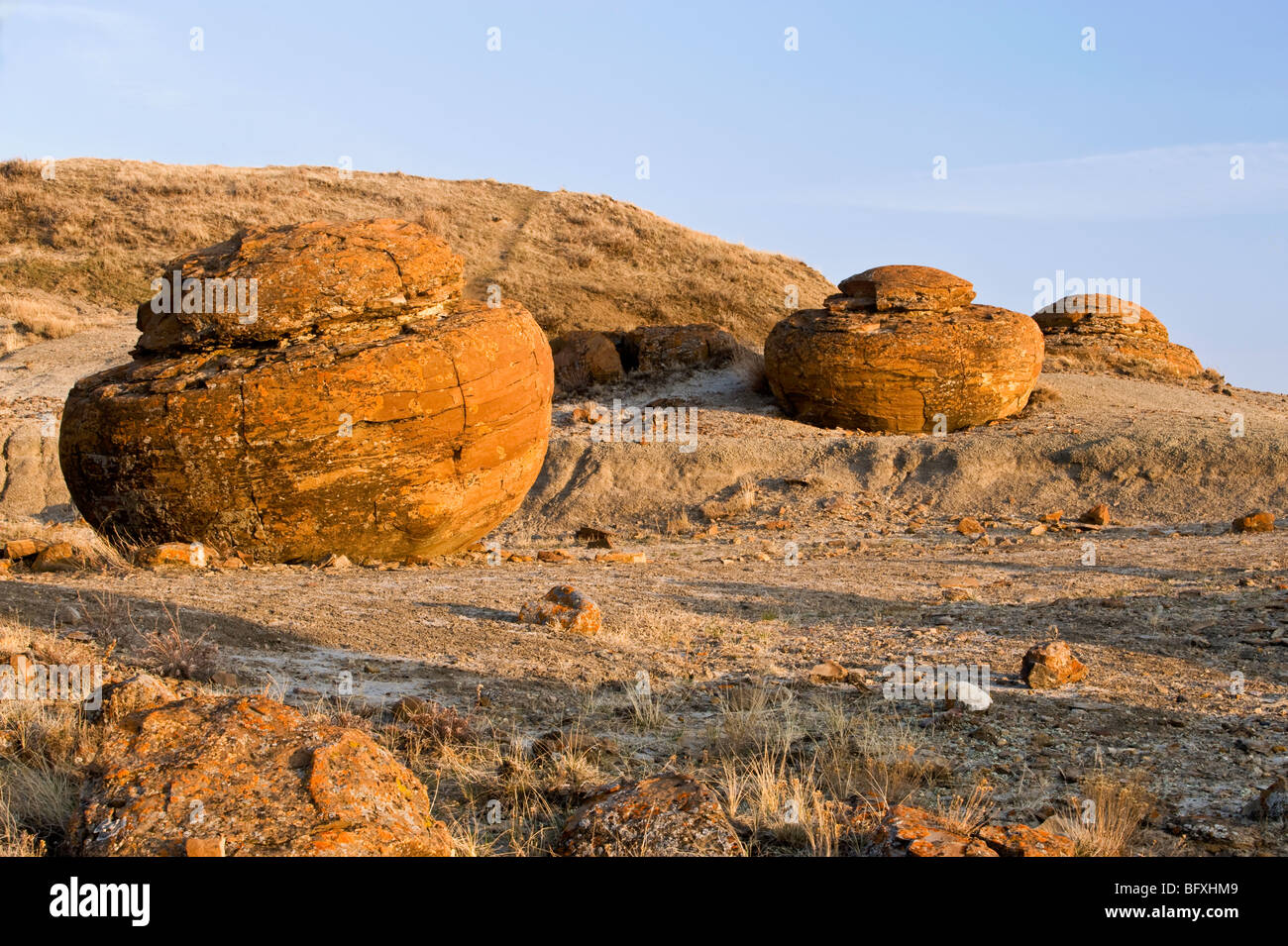 Semi arid habitats hi-res stock photography and images - Alamy