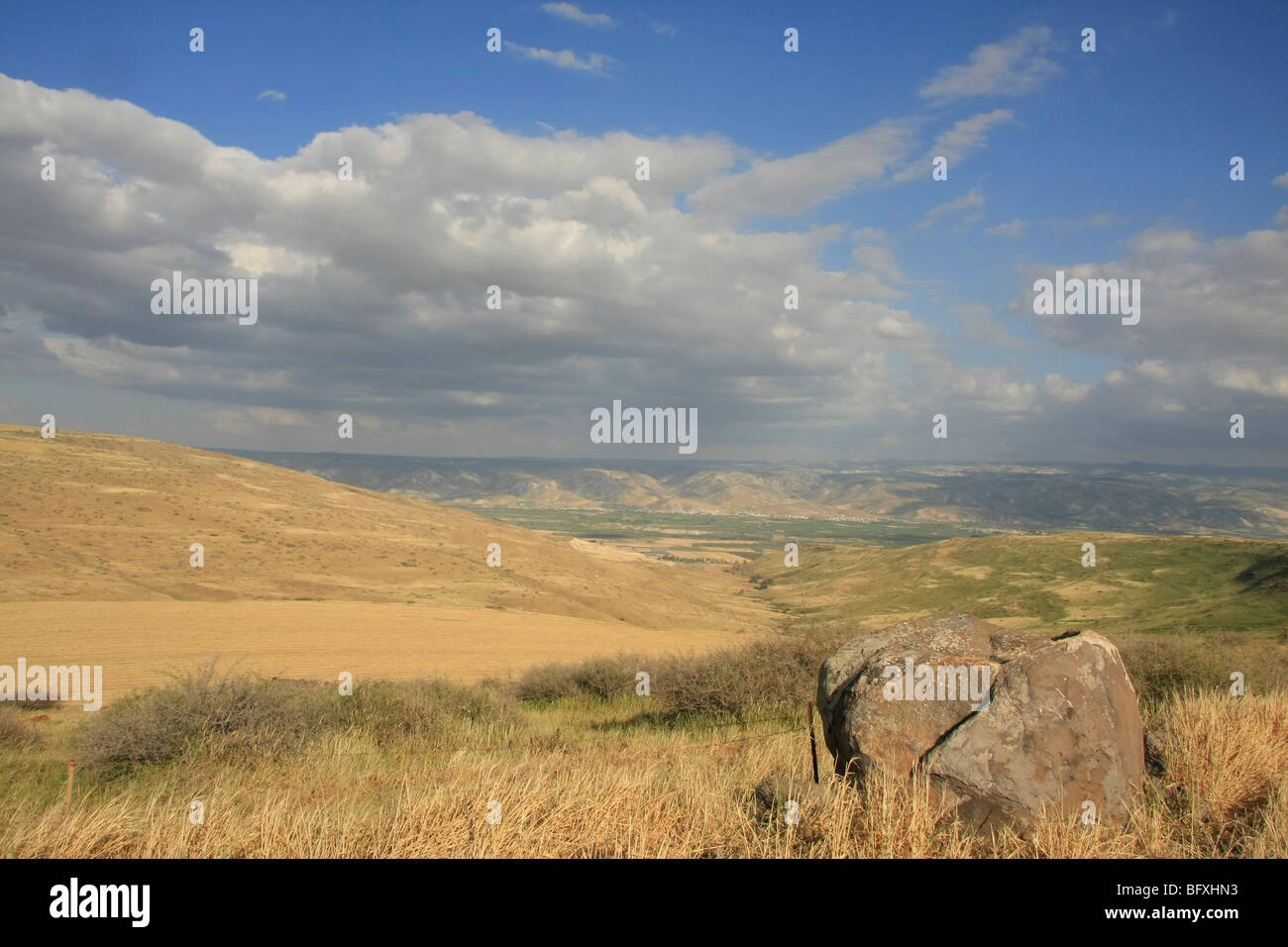 Gilead jordan hi-res stock photography and images - Alamy