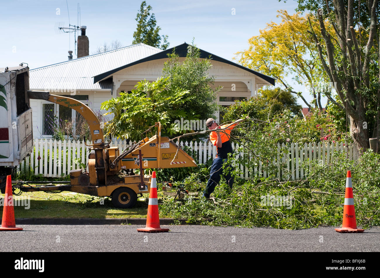 Men cutting tree with chain saw and shredding branches in machine Stock ...