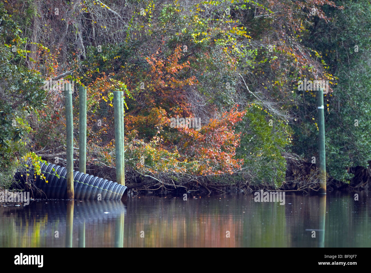 large congregated pipe and fall foliage reflecting off water Stock ...