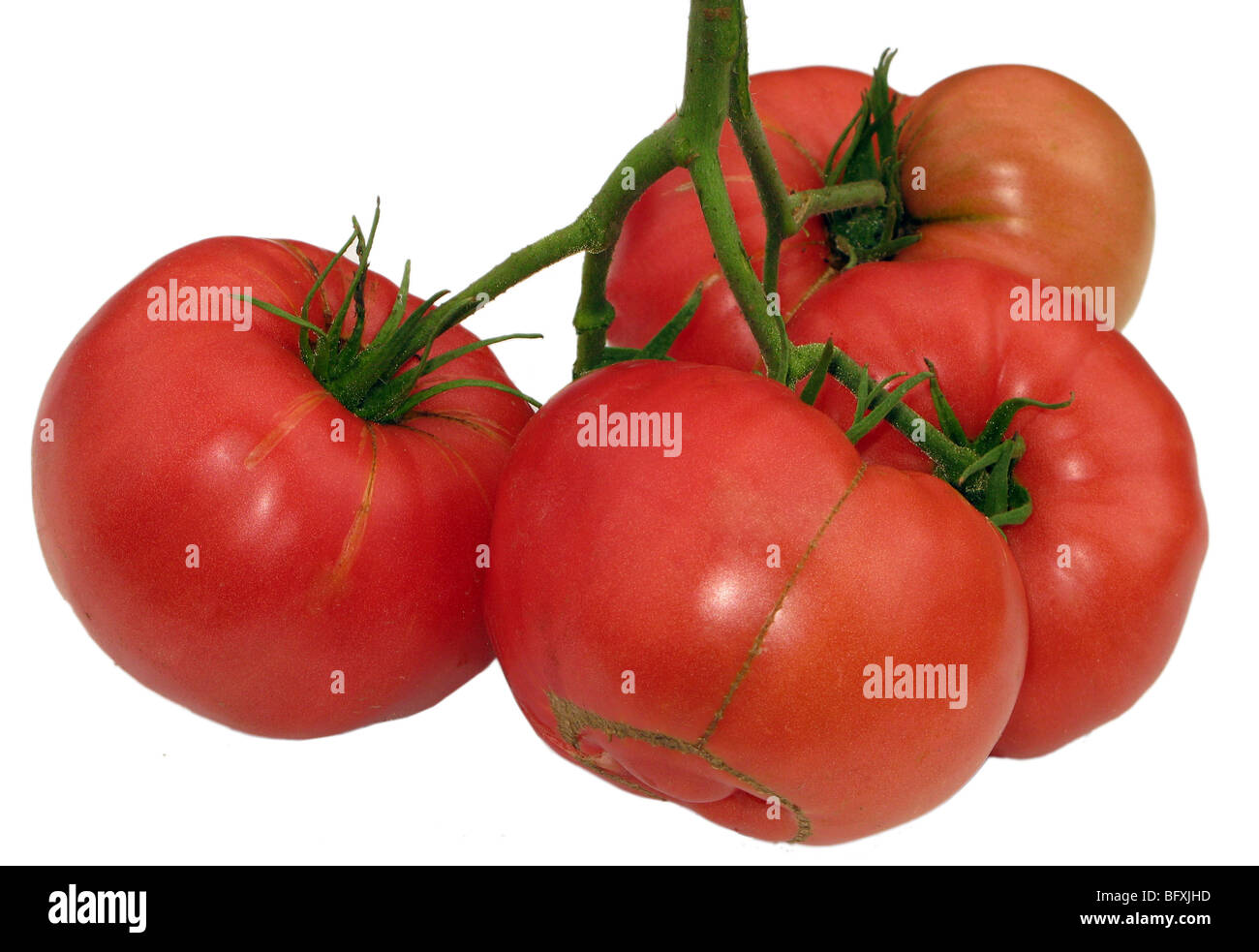 Red berry tomatoes Cut Out Stock Images & Pictures - Alamy