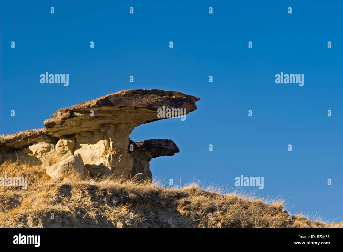 Rock hoodoos in badlands environment, Dinosaur Provincial Park, Alberta ...