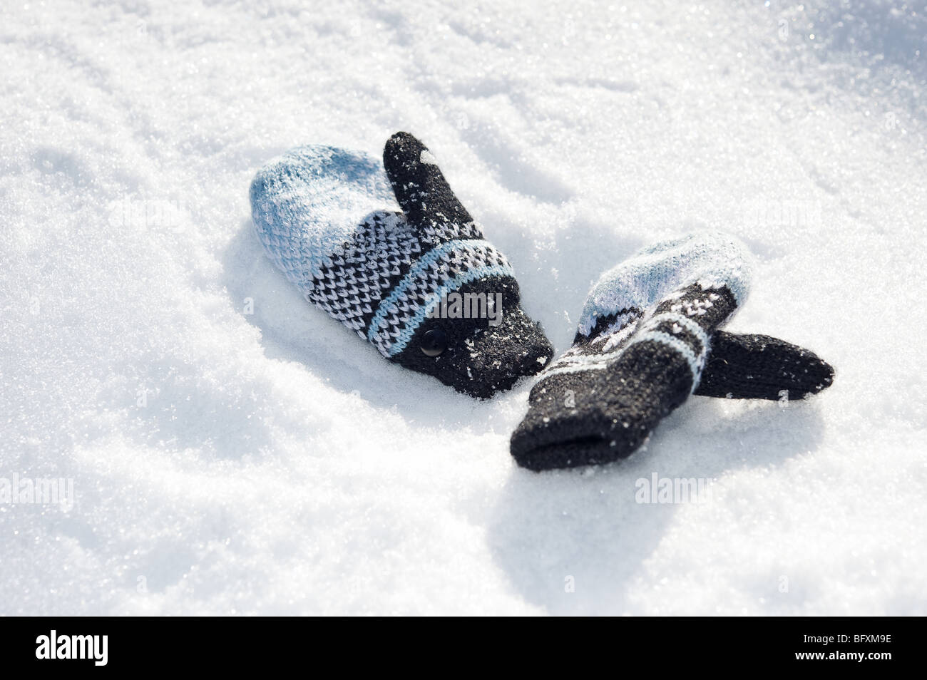 Mittens in the snow Stock Photo - Alamy