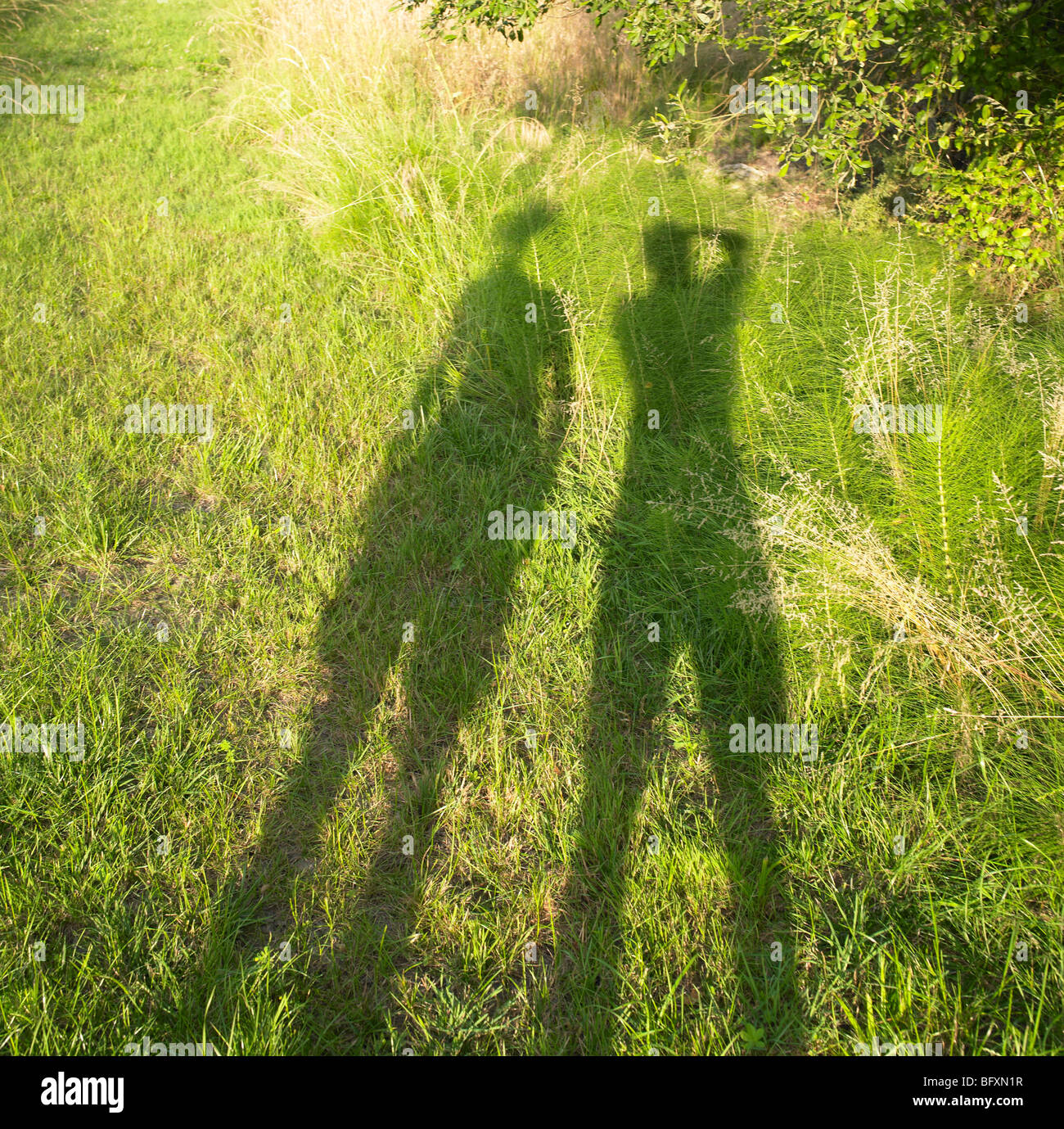 Mate people hi-res stock photography and images - Alamy