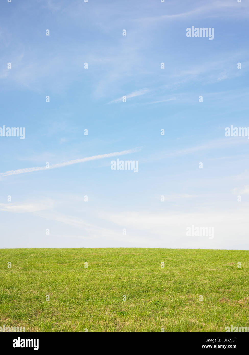 field of wild grasses Stock Photo - Alamy