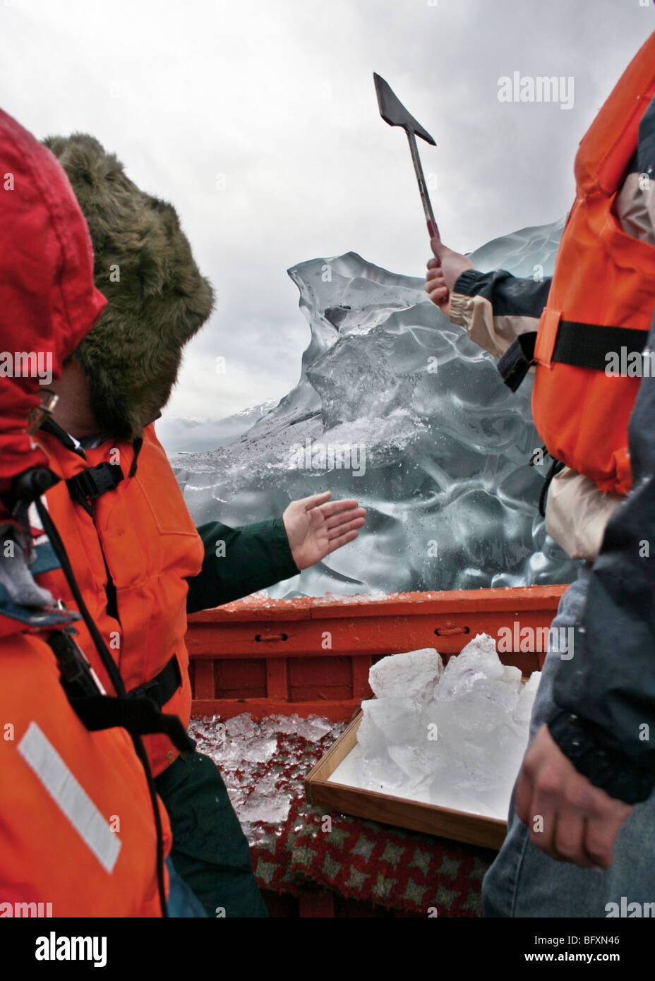 Chipping Ice off a Berg at the Brüggen Glacier/Pio XI Glacier ...