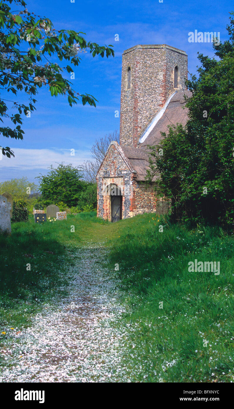 Heckingham hi-res stock photography and images - Alamy