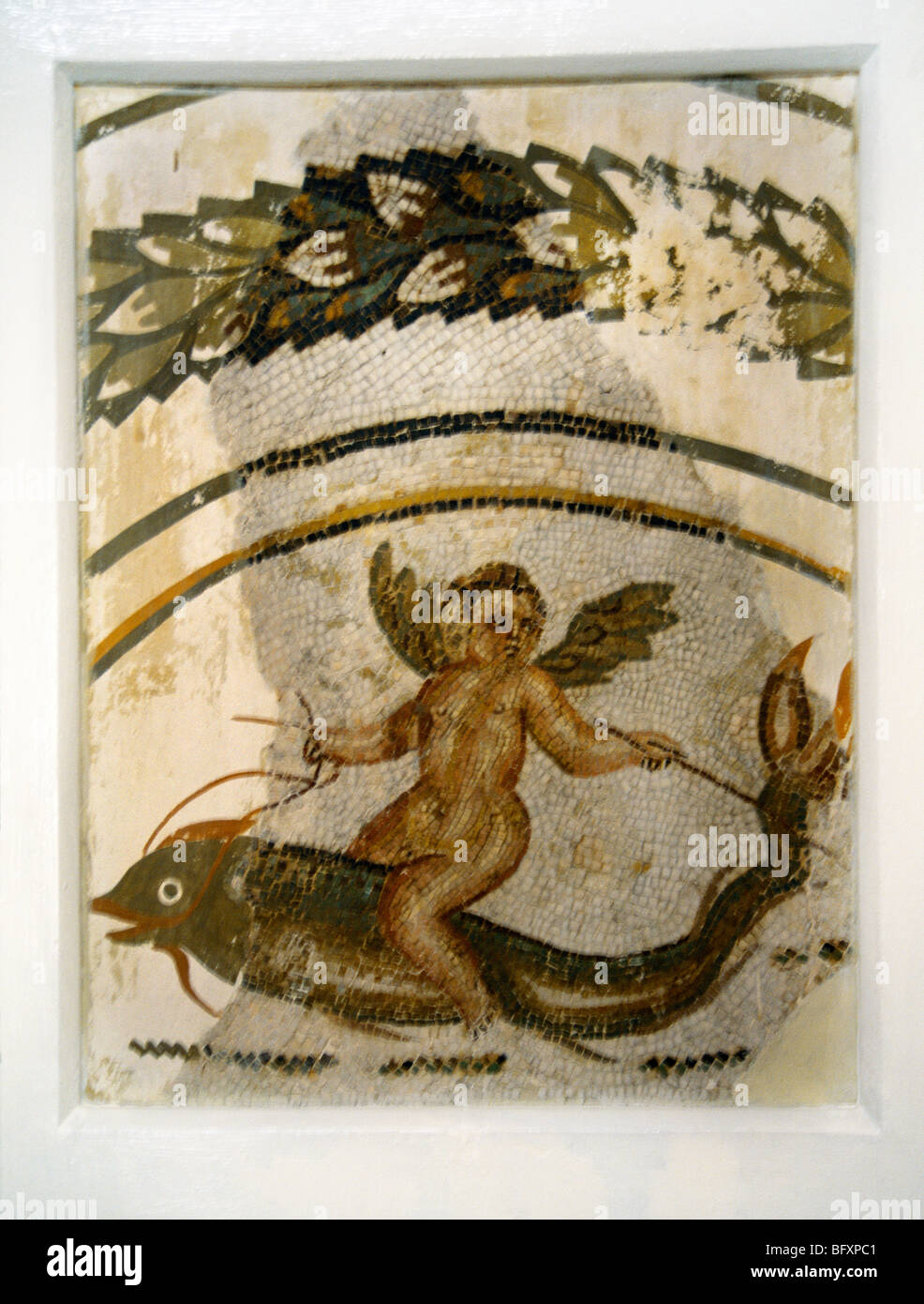 Sousse Tunisia Museum - Mosaic Of Winged Child & Dolphin Stock Photo ...