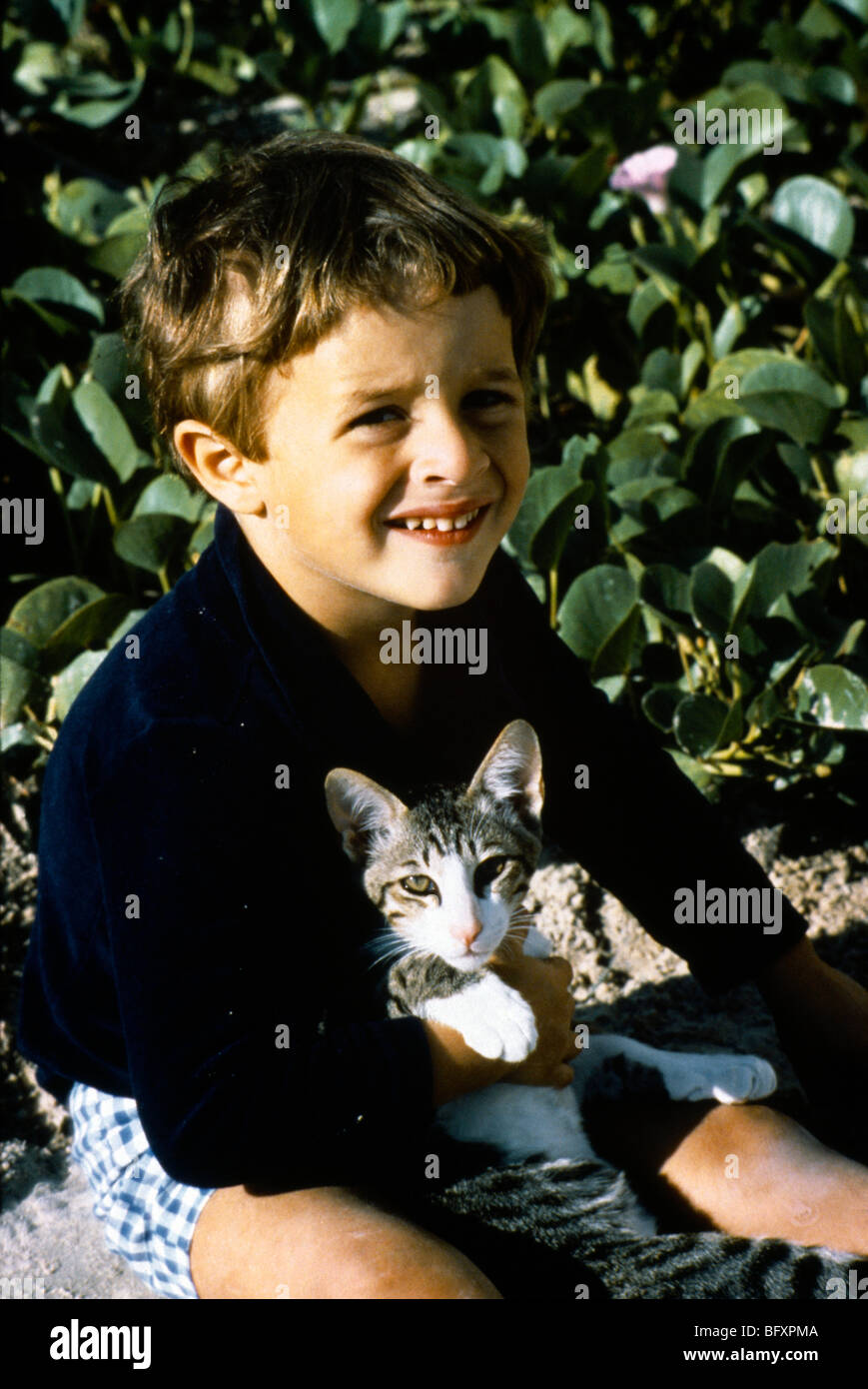 Young Boy Portrait Holding Cat Stock Photo - Alamy