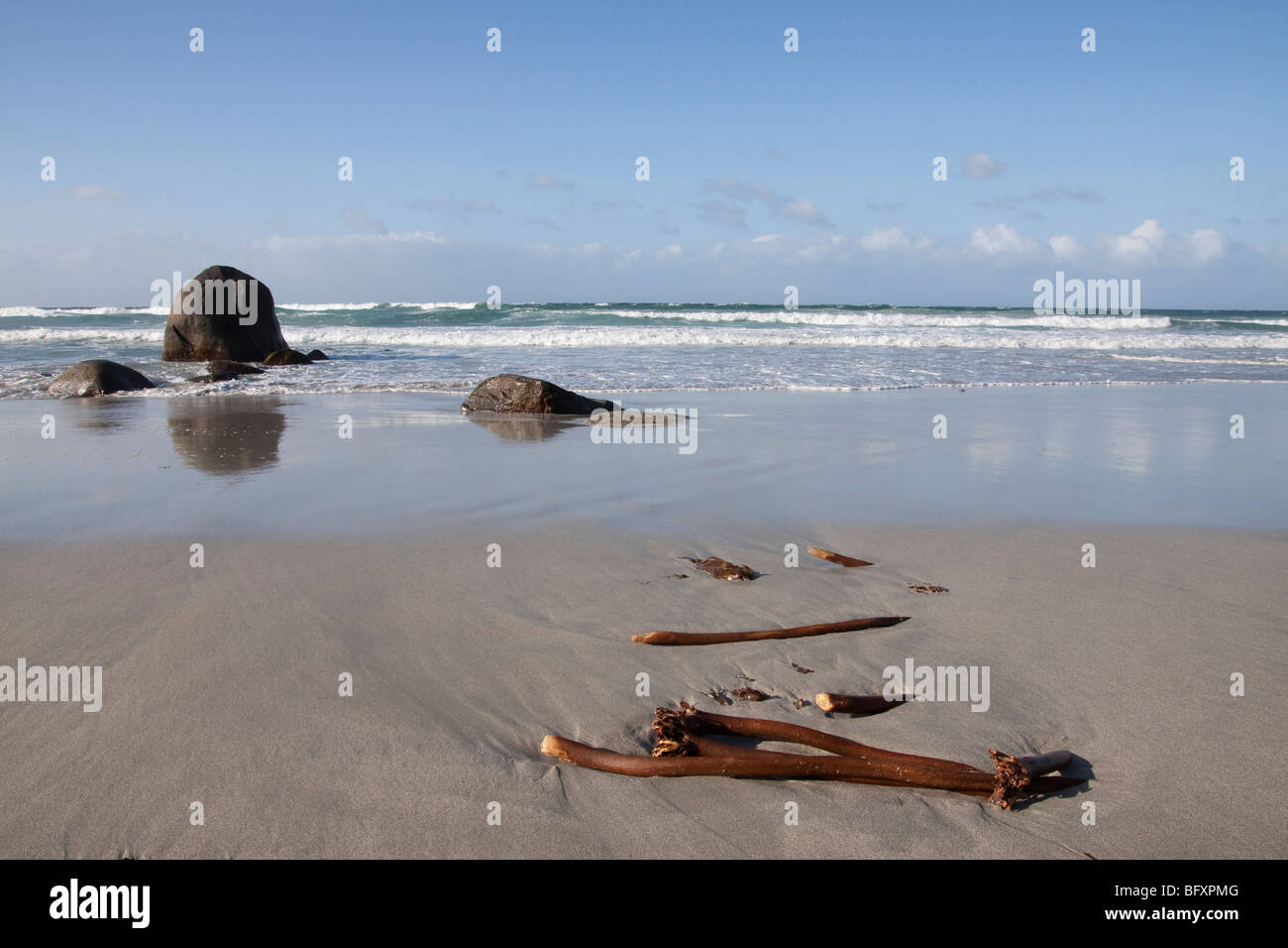 Seaweed rocks hi-res stock photography and images - Alamy