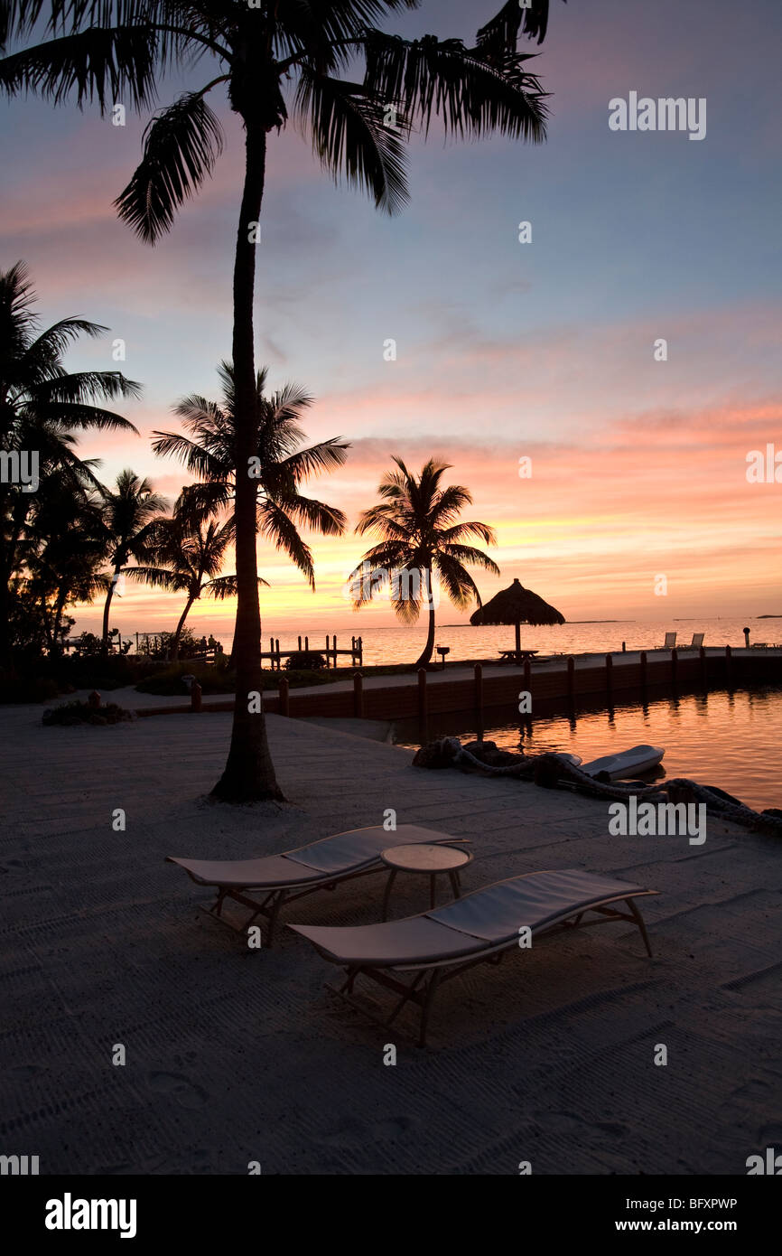 Golden sunset Key Largo Florida USA Stock Photo - Alamy