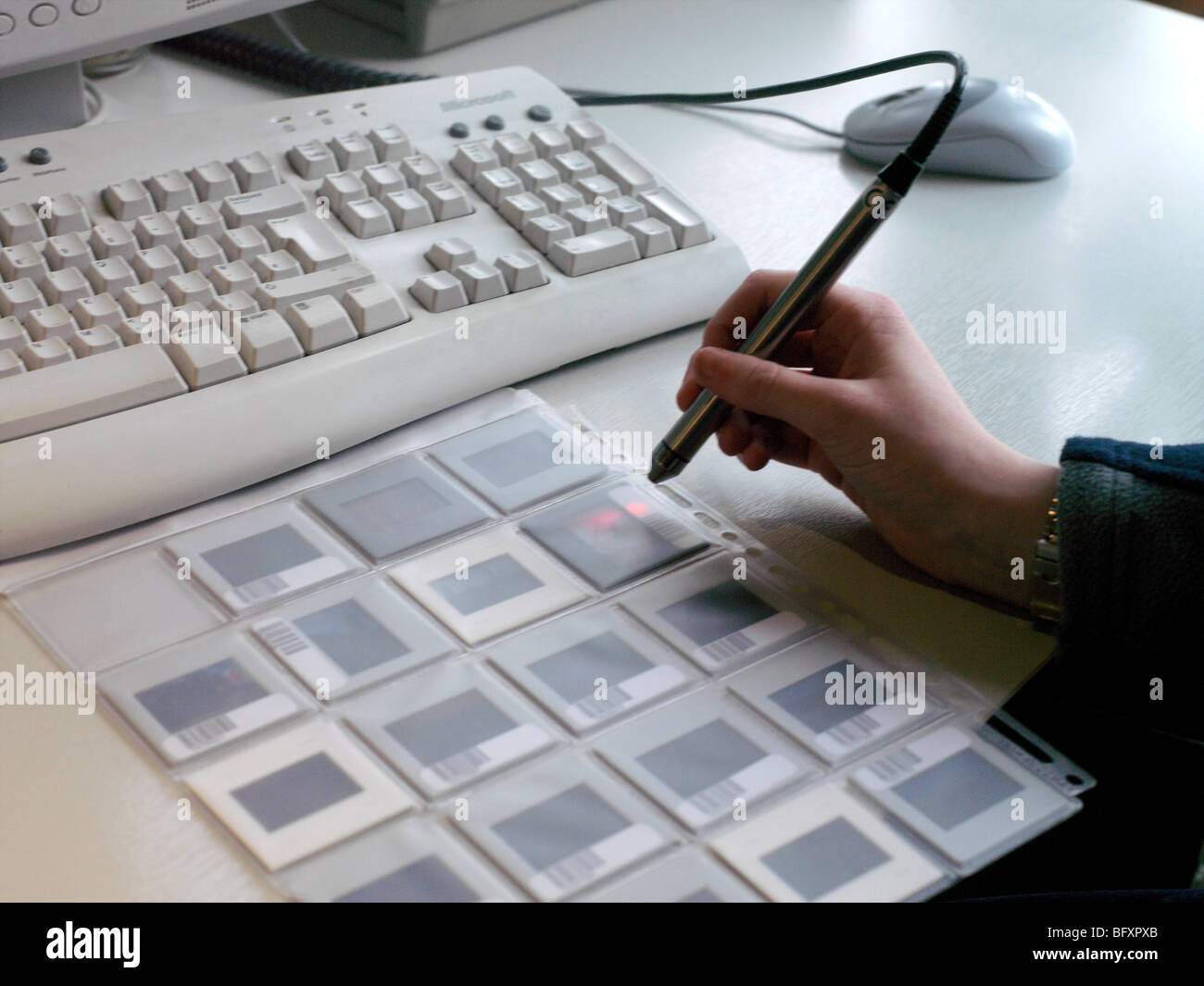 Barcode Reader in Use Stock Photo - Alamy