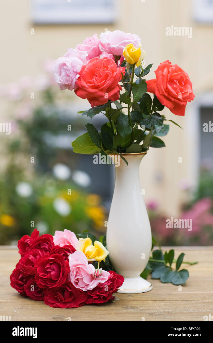 Porcelain pot with colorful roses Stock Photo - Alamy