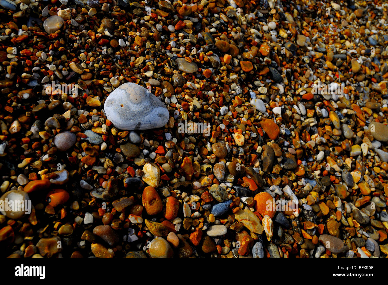 Stone on shingle beach suffolk Stock Photo - Alamy