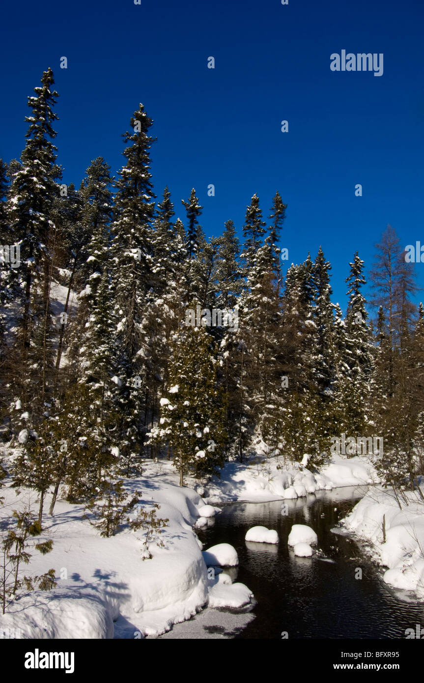 Ice water shield hi-res stock photography and images - Alamy
