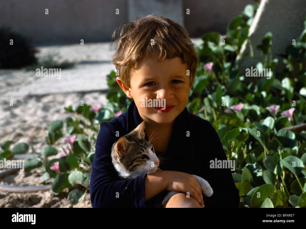 Portrait boy hugging cat hi-res stock photography and images - Alamy