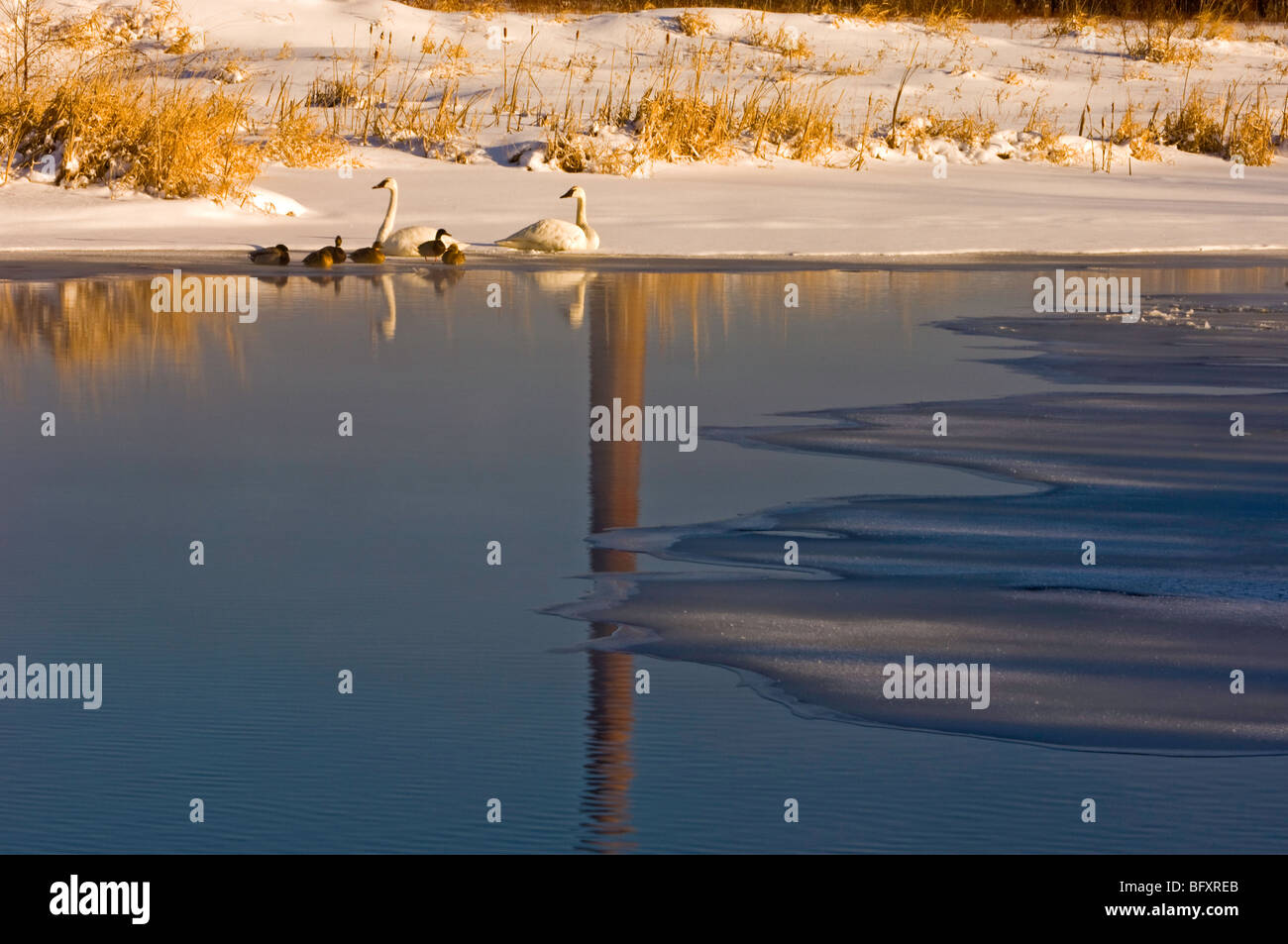 Sudbury superstack hi-res stock photography and images - Alamy