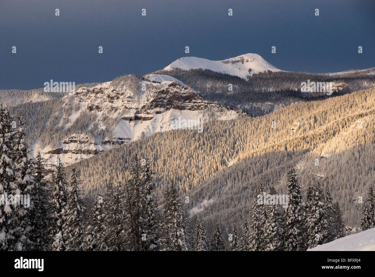 Winter Scenes from Wolf Creek Pass Area Highway 160 Colorado USA Stock ...