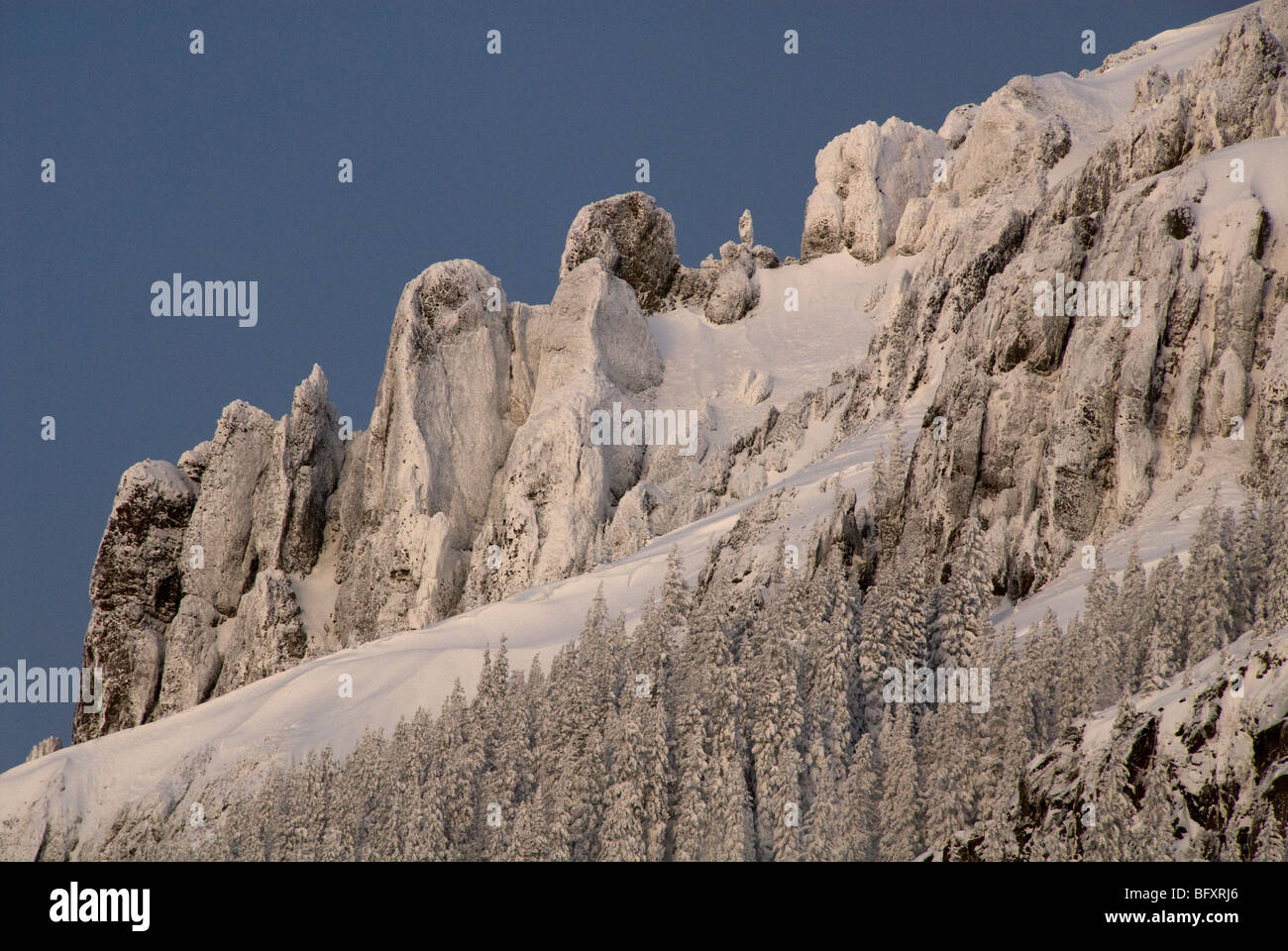 Winter Scenes from Wolf Creek Pass Area Highway 160 Colorado USA Stock ...