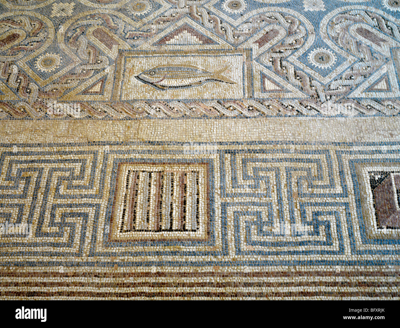Fish Mosiac at Eustolios House Curium - Kourion - Cyprus Stock Photo ...